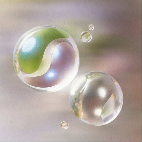 fembot capsule – rem beauty